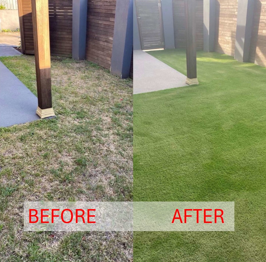 Fast, Reliable Turfing Service - Grass Planting - Quality turf, Quality ...